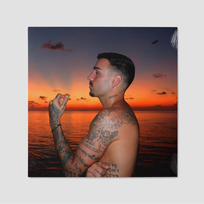 Rels B - "a new star (1 9 9 3)" en formato vinilo | Apparell™